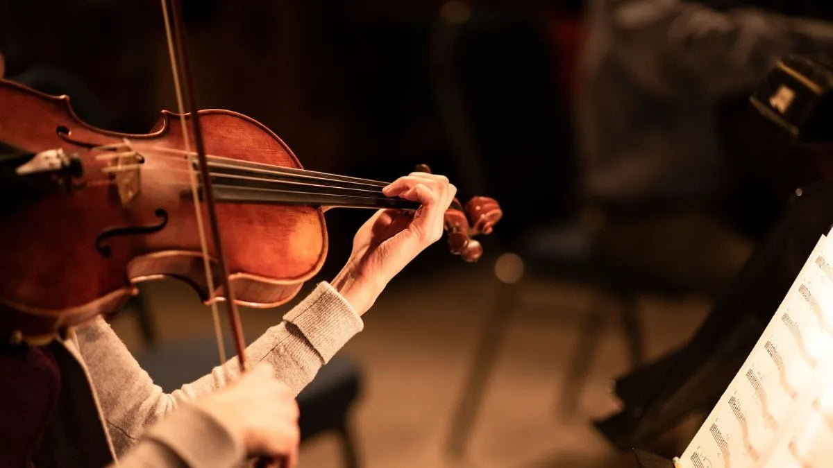 Violin Setup Guide | Bridge, Strings & Soundpost Explained – Kiltra ...